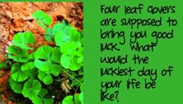 South View Community Primary School - Assessment